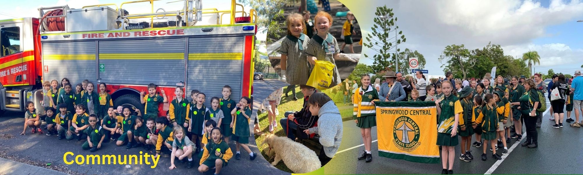 Springwood Central State School